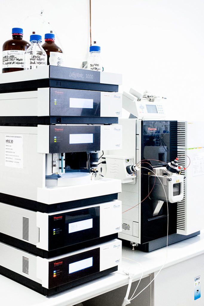 MAIN SERVICES | Chiman S.r.l.