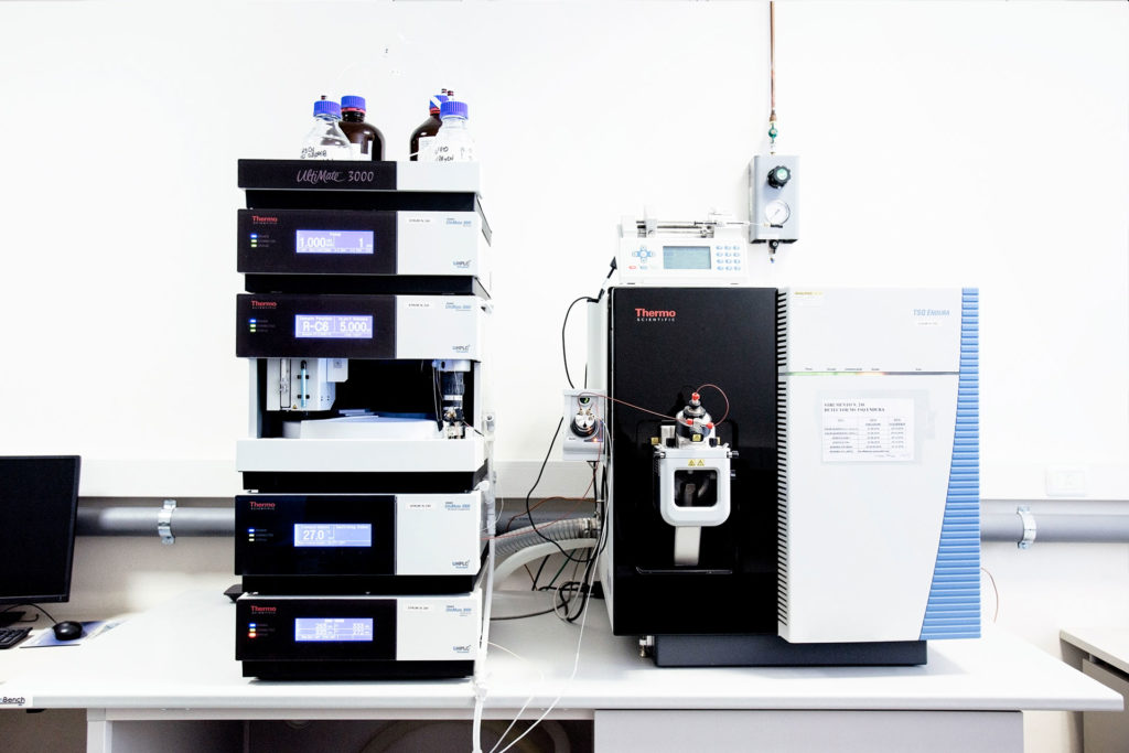 SERVICES | Chiman S.r.l.